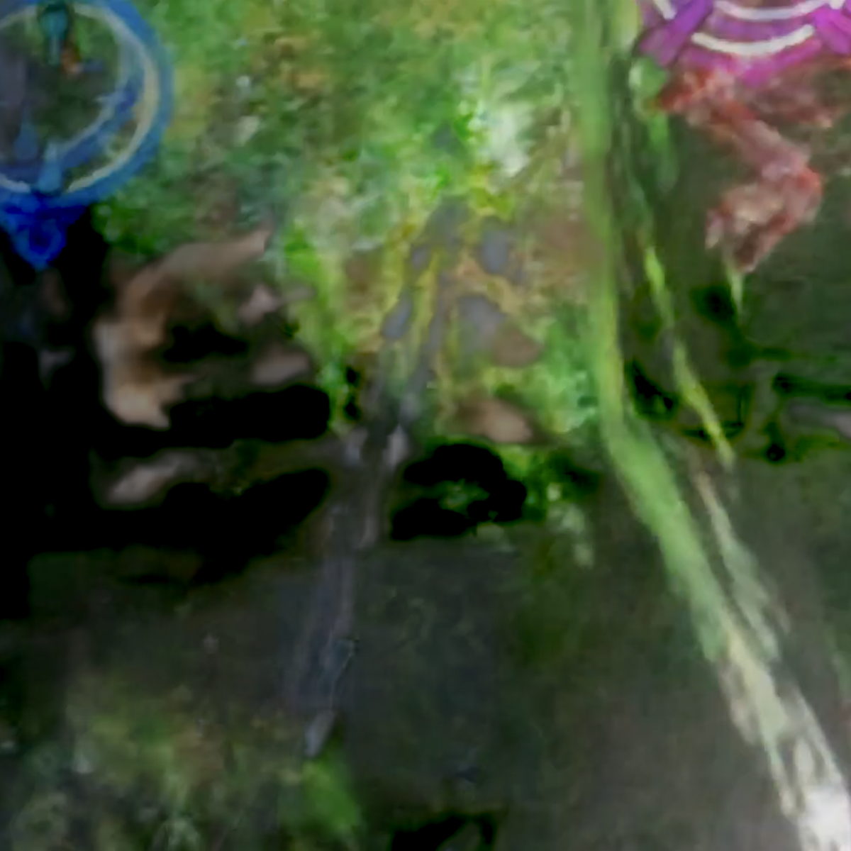 Merch — Dylan Marx