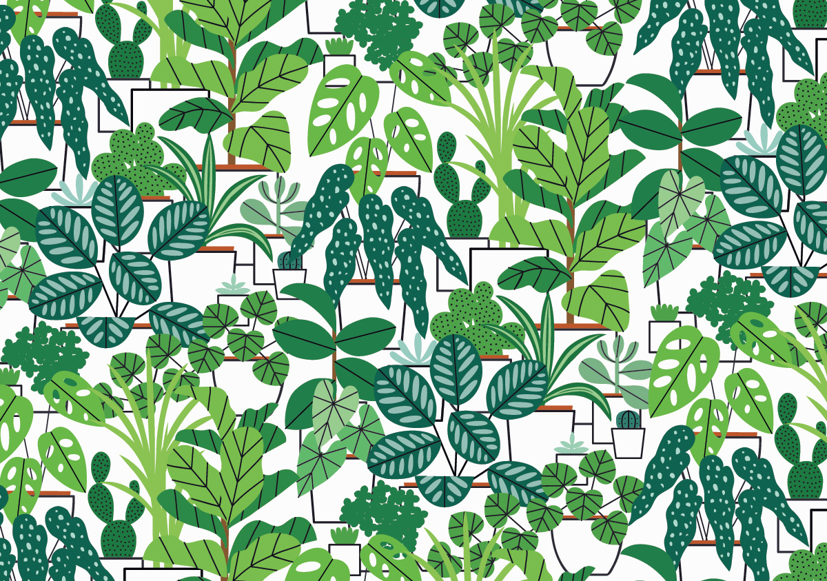 Houseplants Pattern — Sarah Abbott