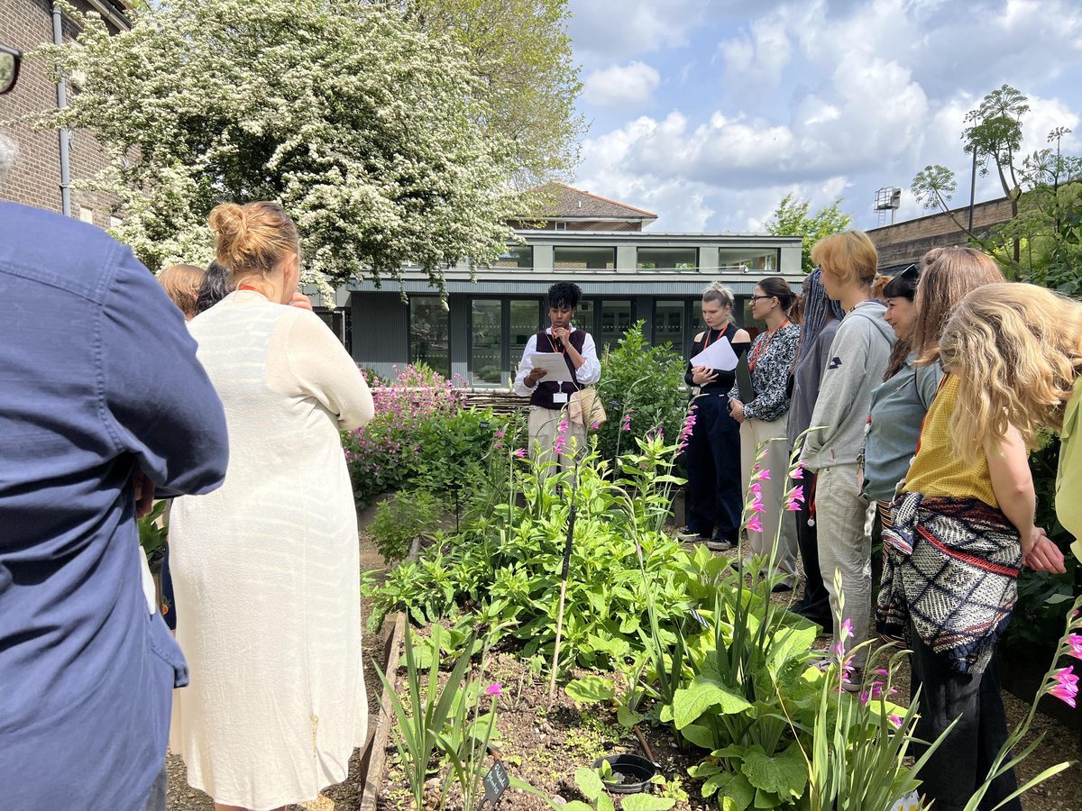 The Jamaican Doctresses — Chanelle Brown