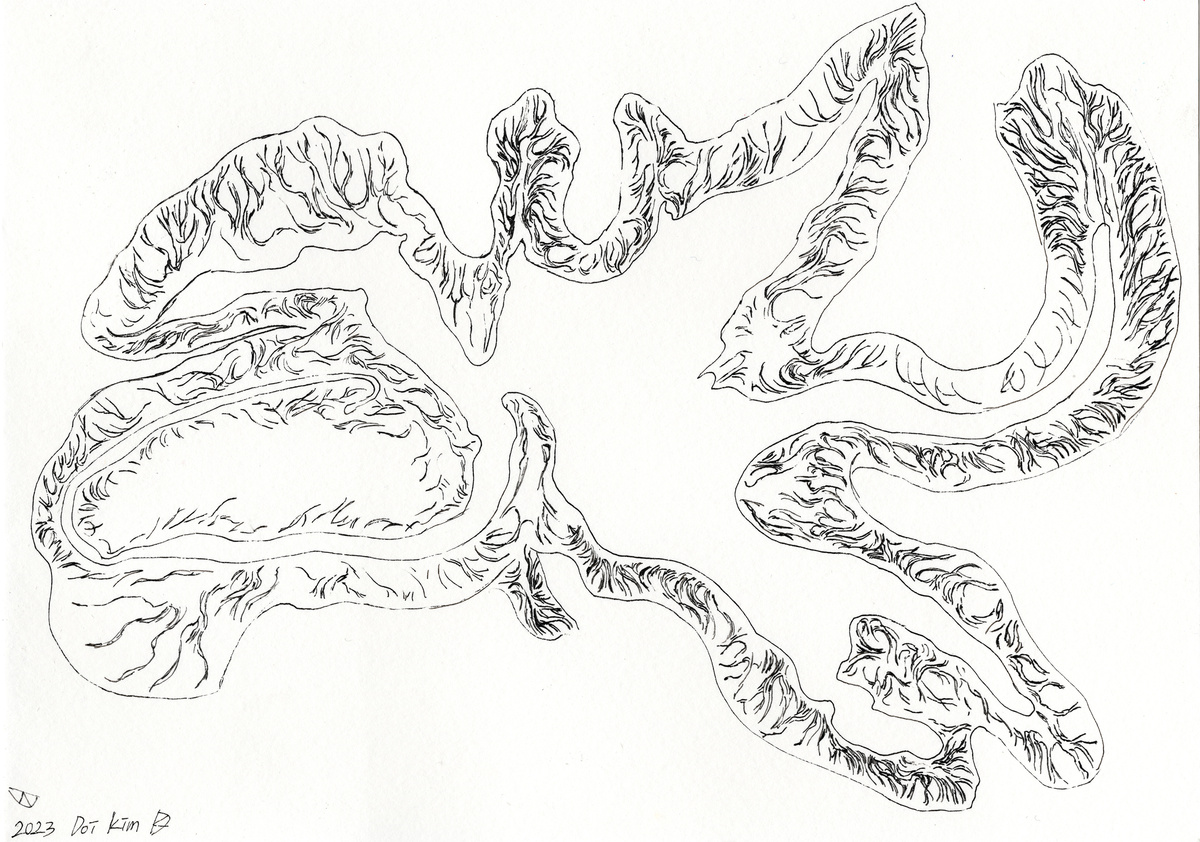 Drawings 2023 — Doi Kim