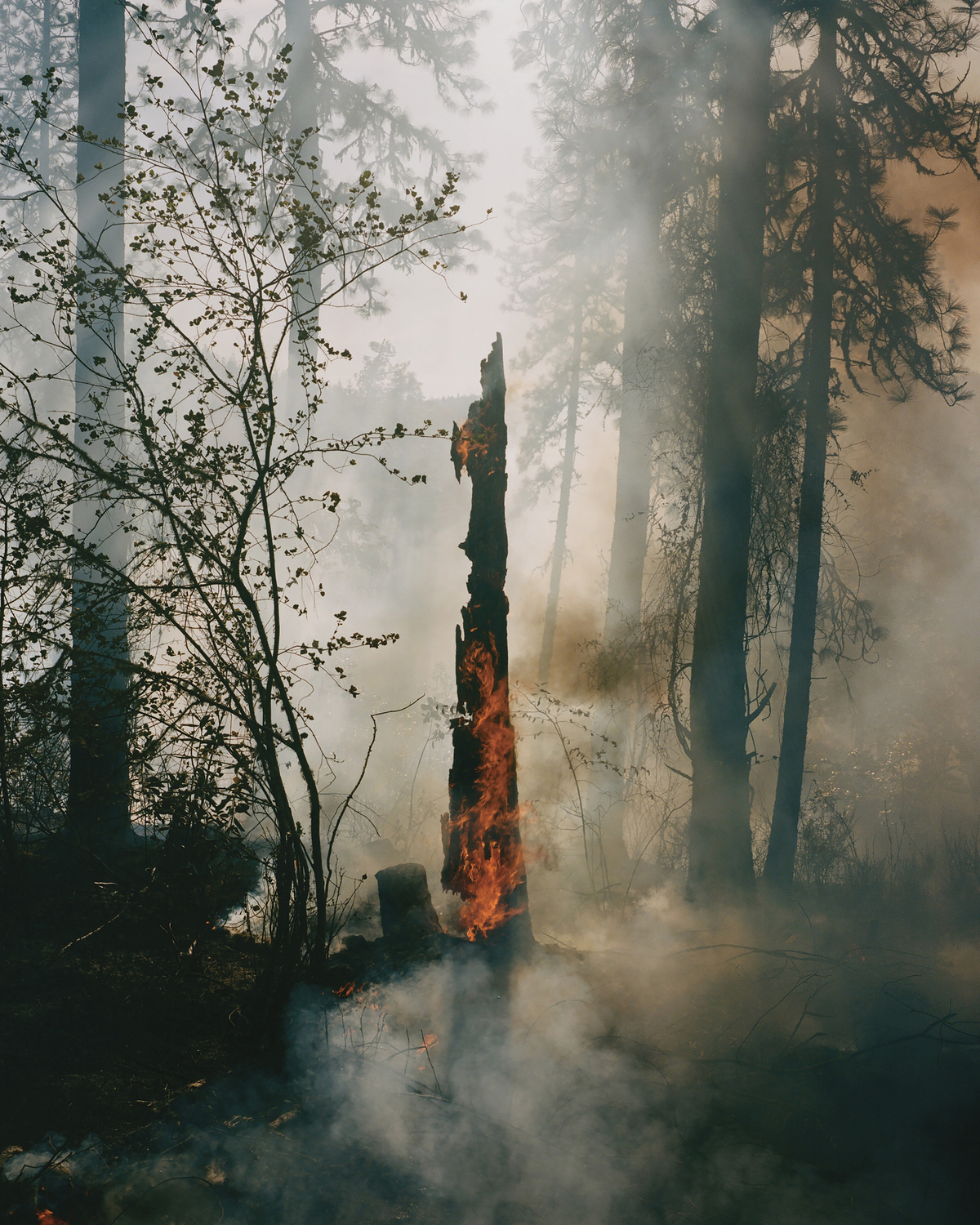 artists — Another Earth