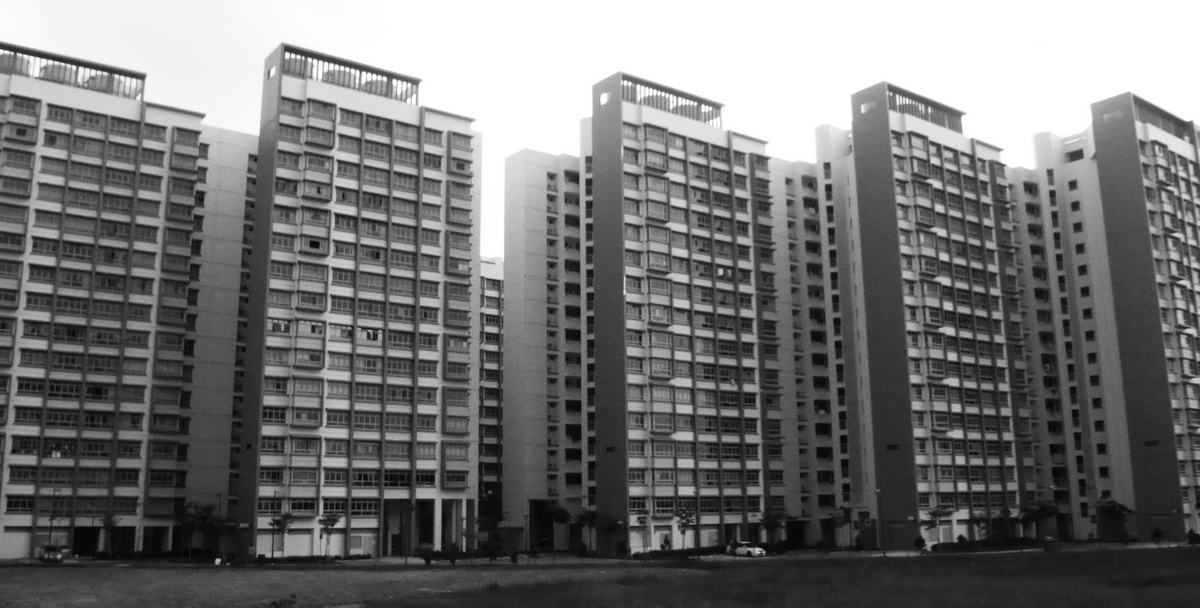 Scarlet Runners — moser-architektur.ch