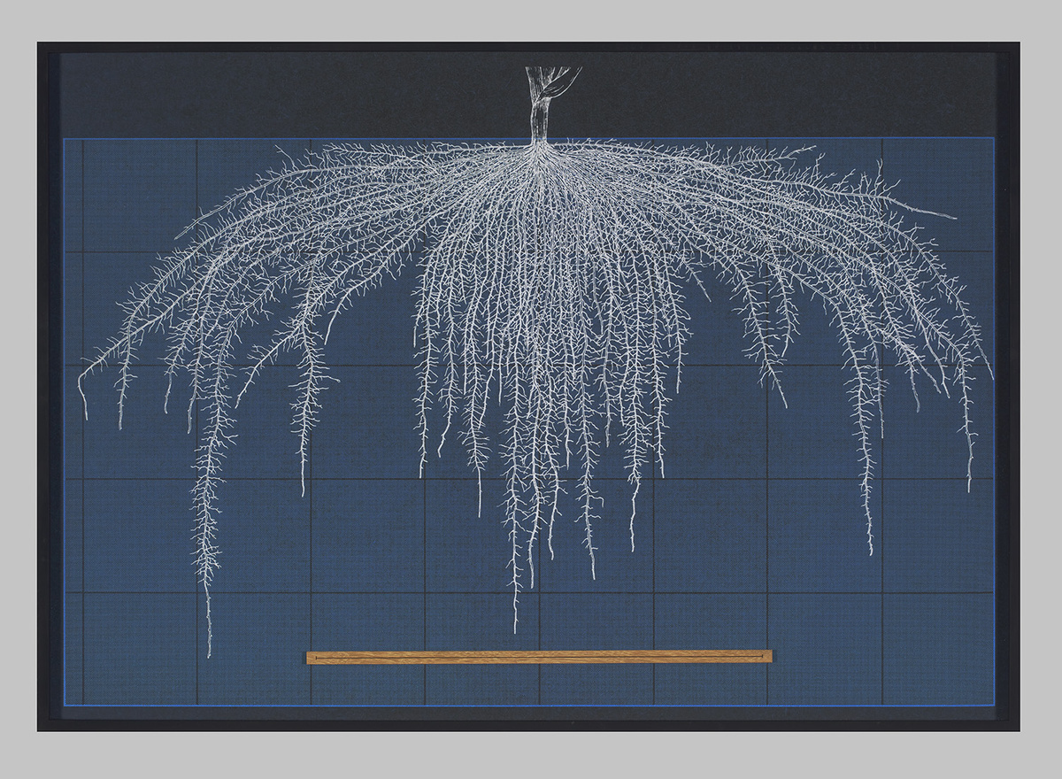 Louis Porter Overview — louisporter