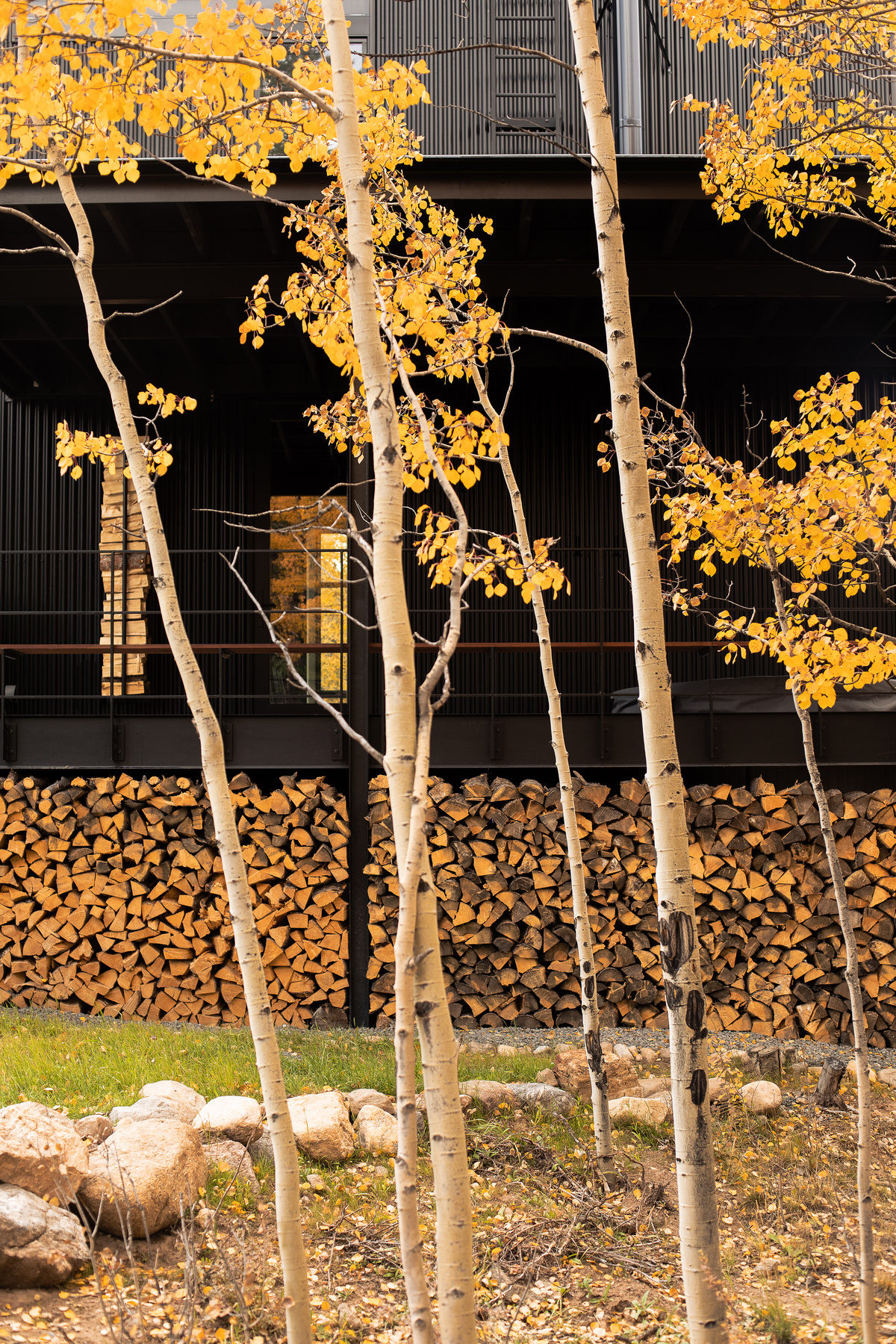 fairplayCABIN — BOSS.architecture