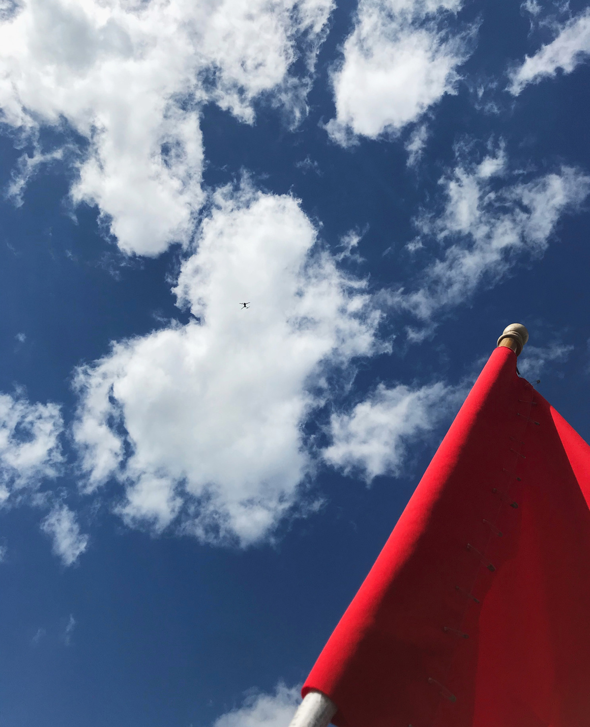 Red Flags Everywhere — andreacardinal.com