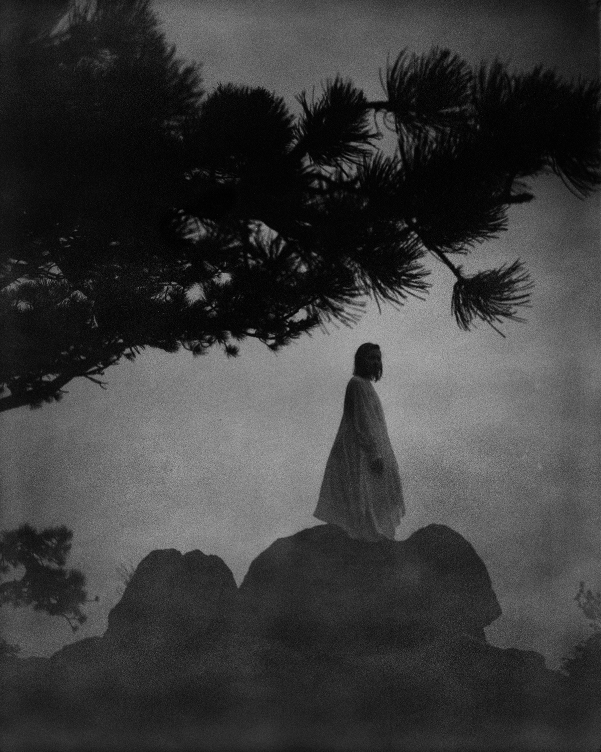 surrender — Michael Ash Smith