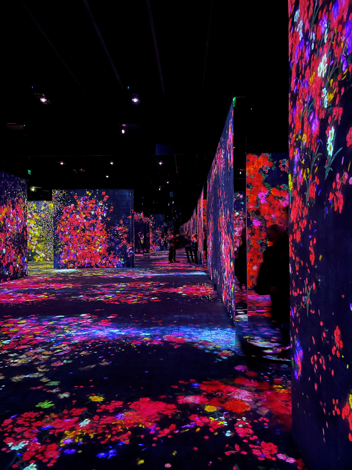 TeamLab Exhibit — tannerhecht architecture