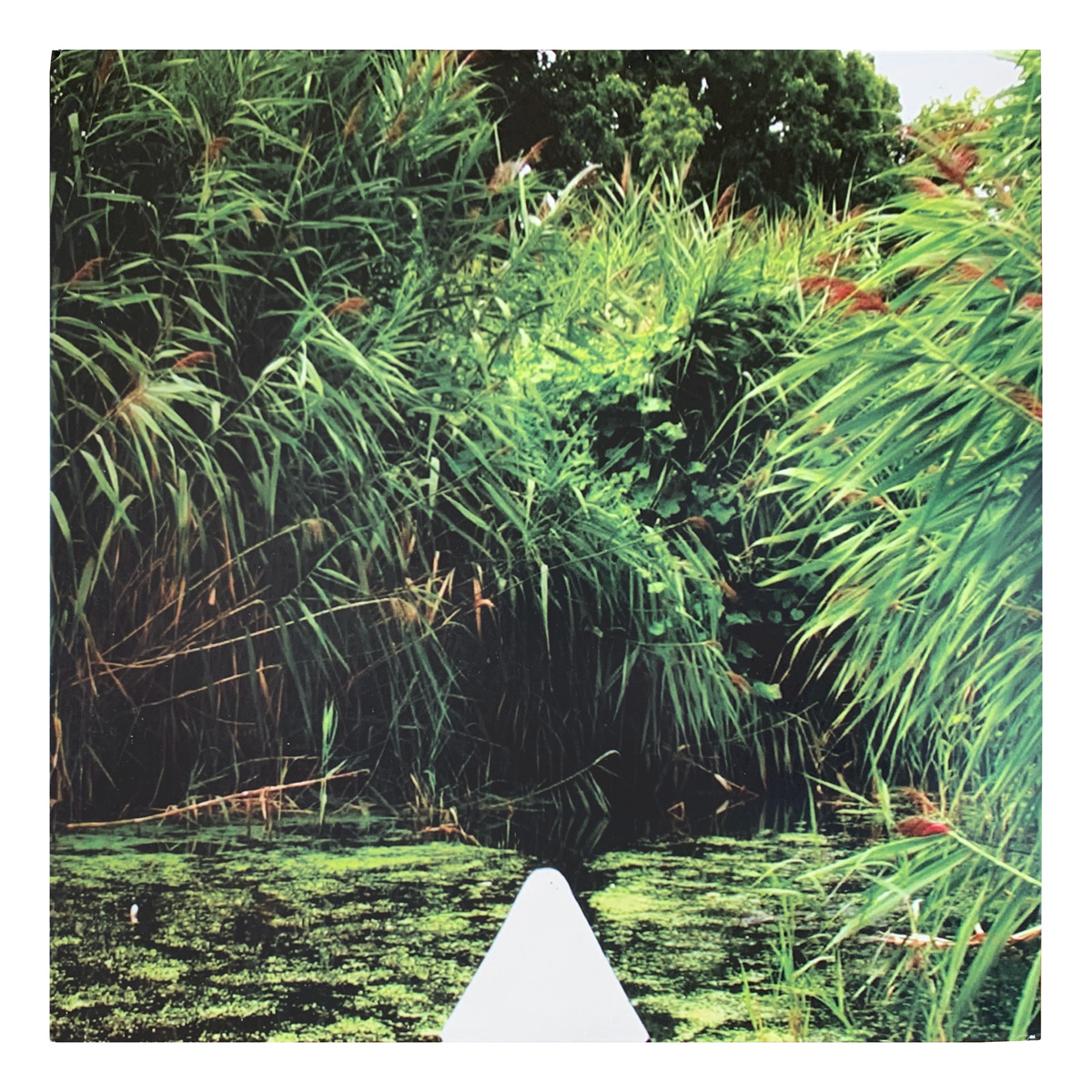 Dan Peterman — midcenturyclassical