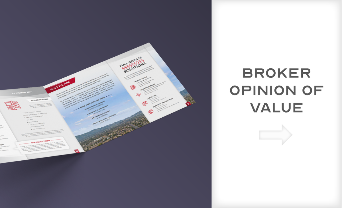 Project Sections — Usha's Website