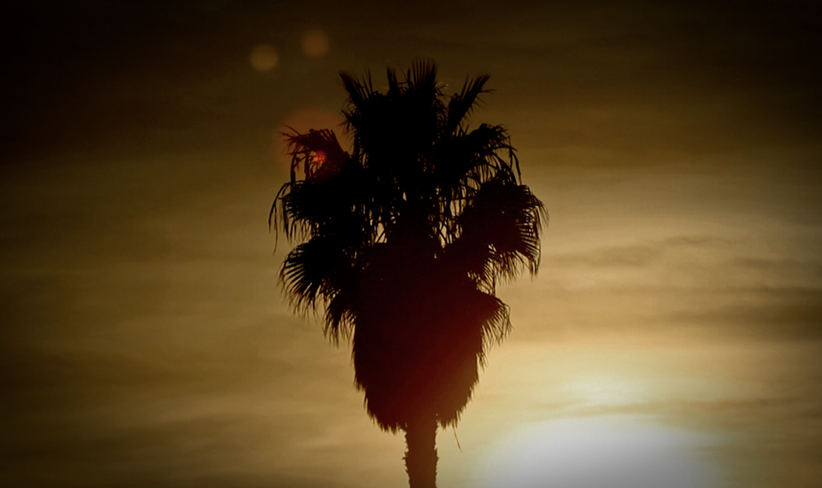 News — DREA COOPER // DIRECTOR