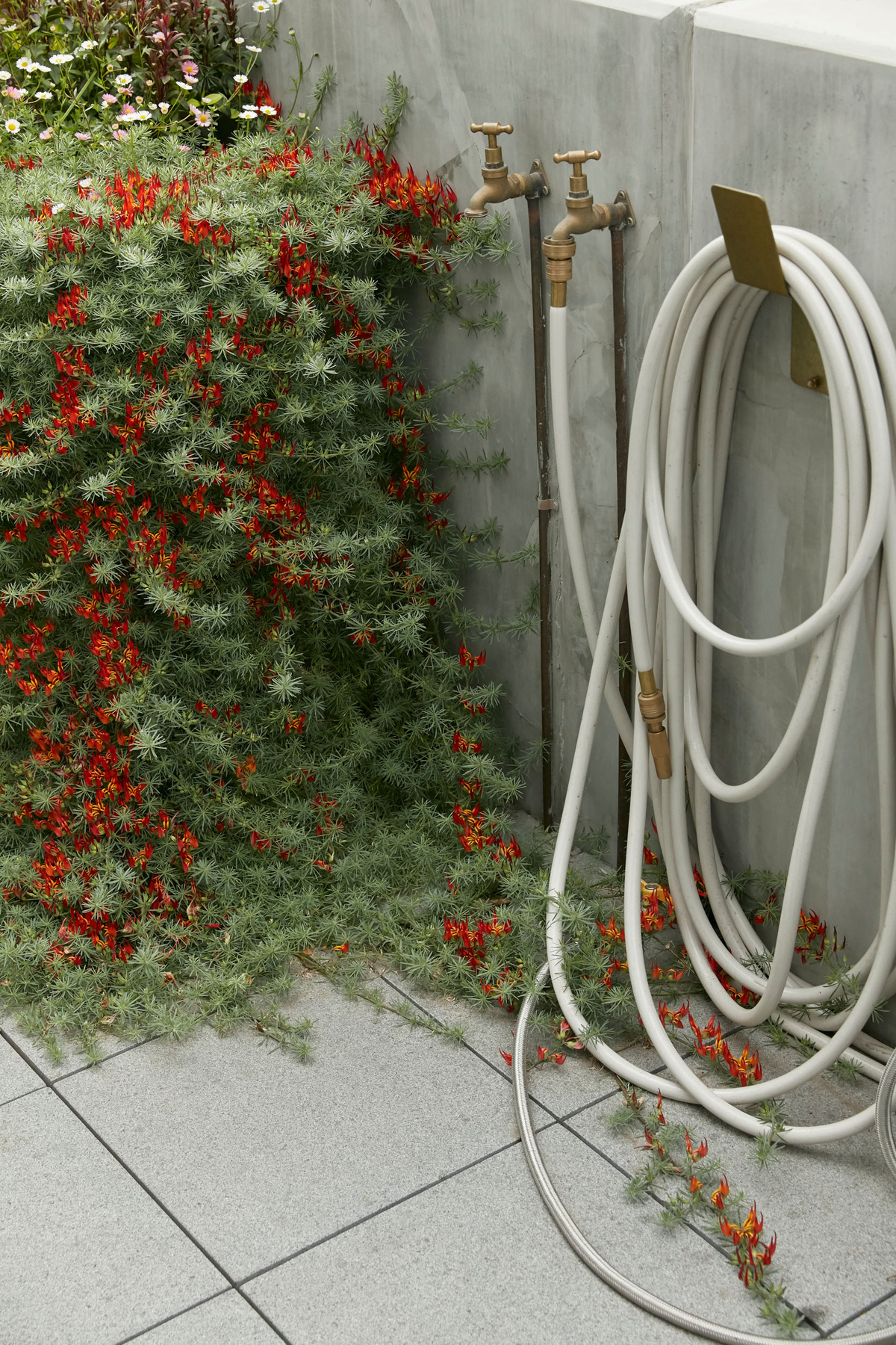 Rooftop Apartment, Clifton Hill — Pop Plant