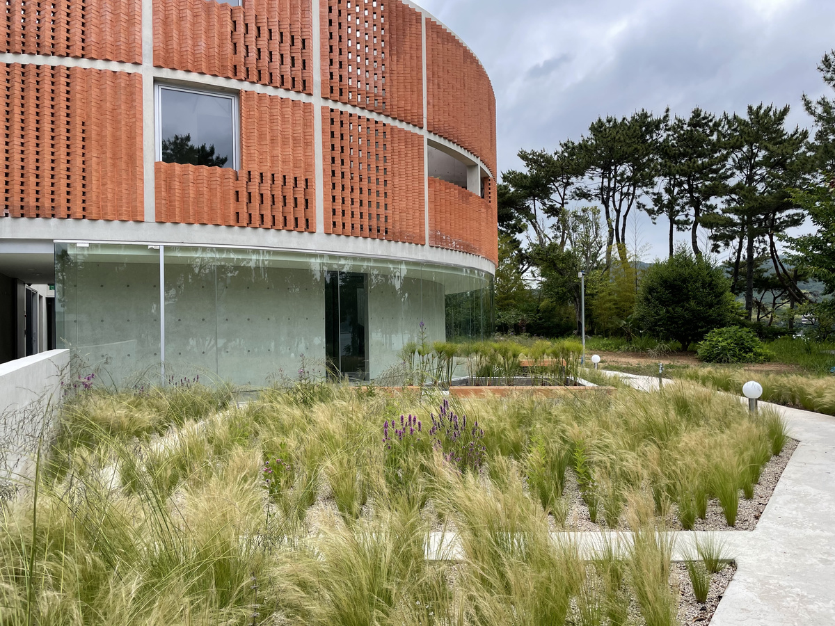 스테이이응 — botanicalstudiosam