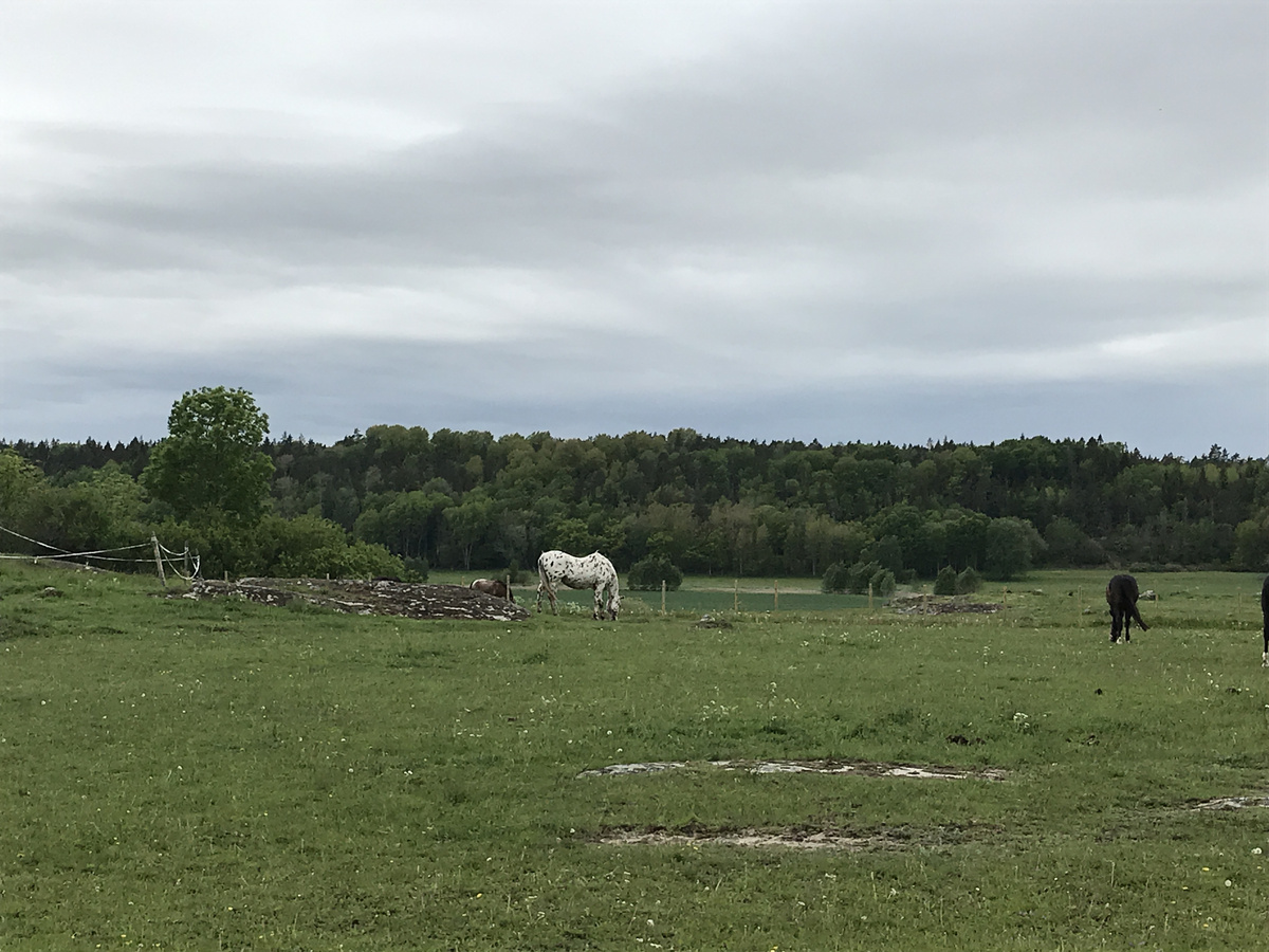 About — Adrian Knight Composer