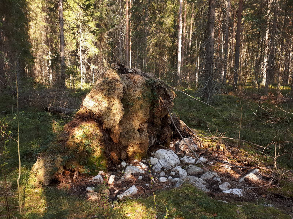 YB interview — TUO TUO