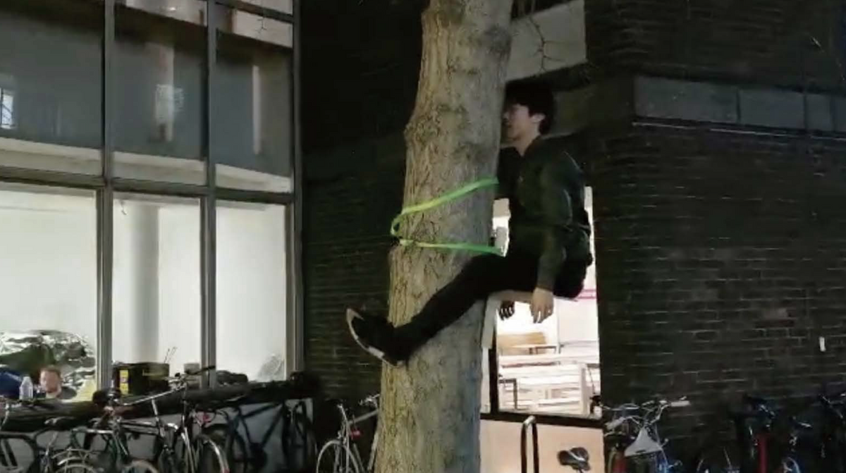 Put The Ass Somewhere Else Device — TJ