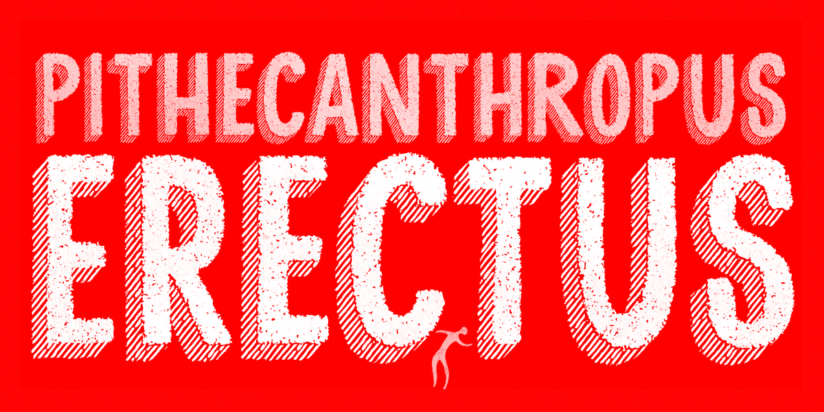 Cluster — PintassilgoPrints Fonts