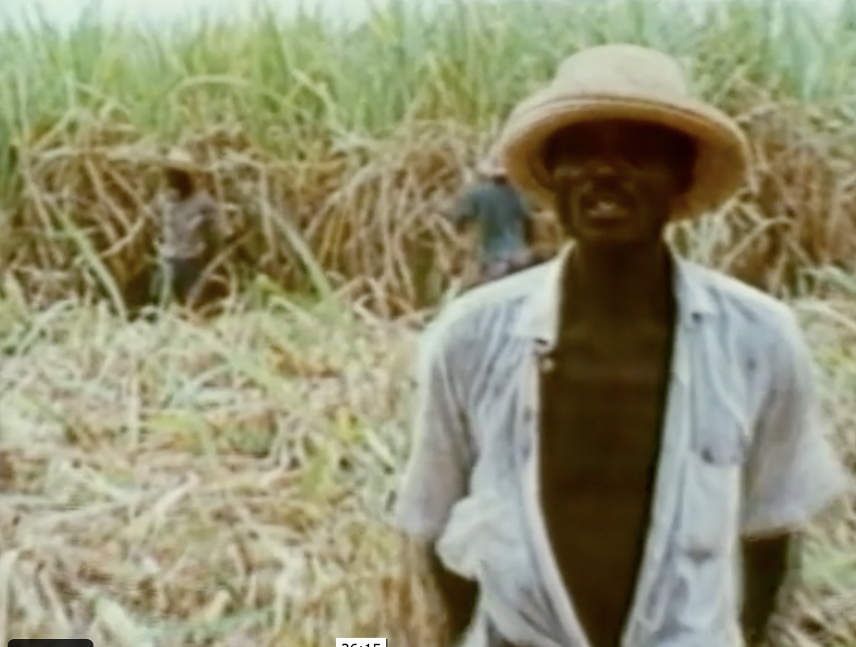 Bitter Cane — Black Film Archive