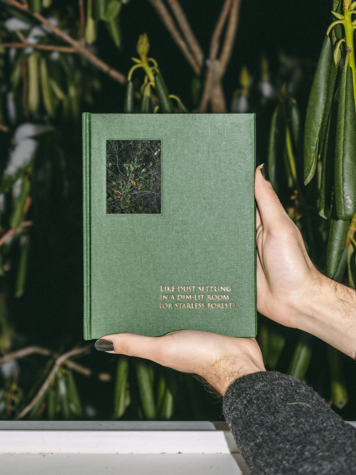 Monograph — Jake Benzinger