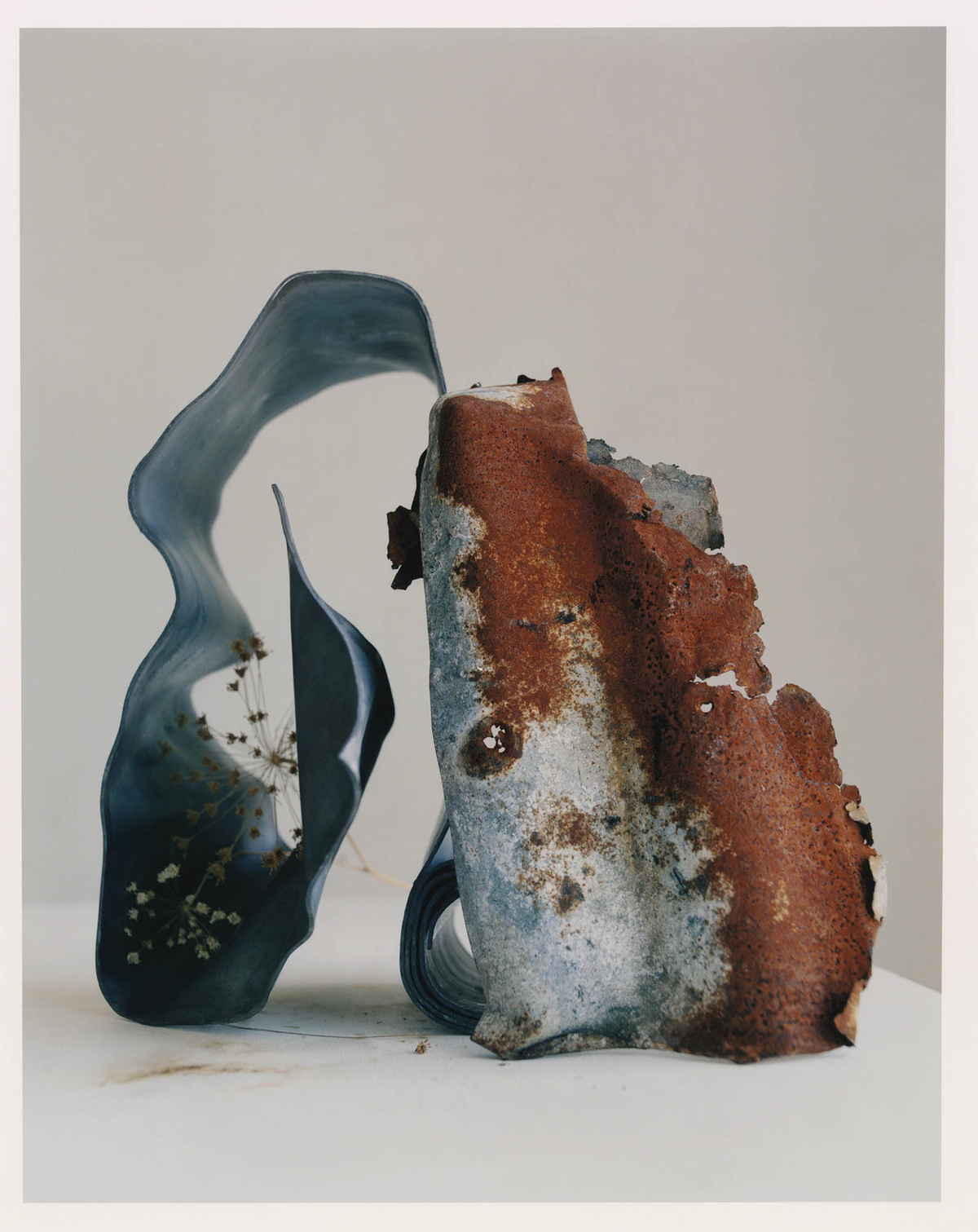 Personal Still Life — David Abrahams