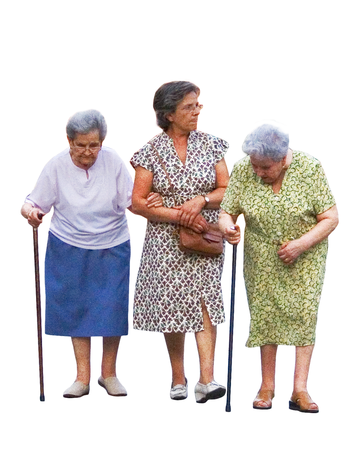 065 — Elderly Entourage
