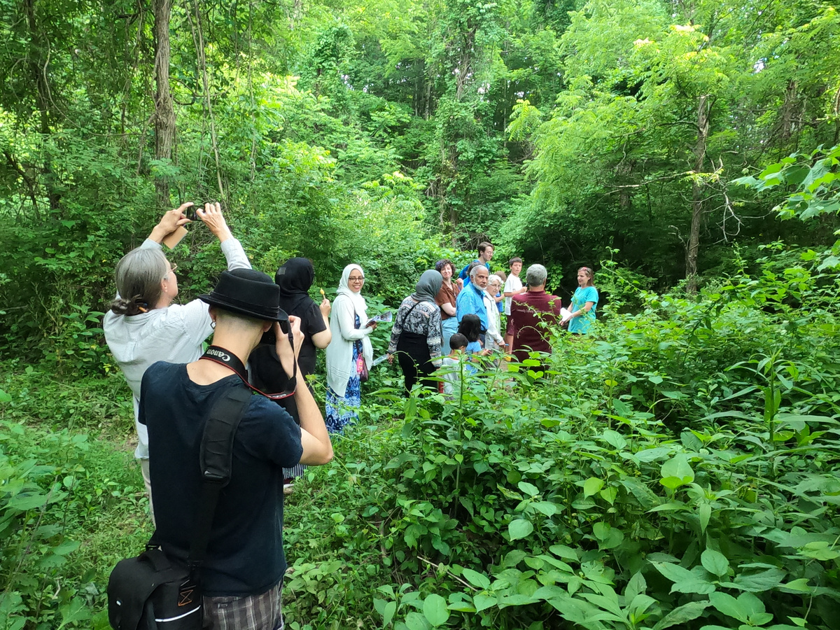 Ecosystem Engineers — Merandissime