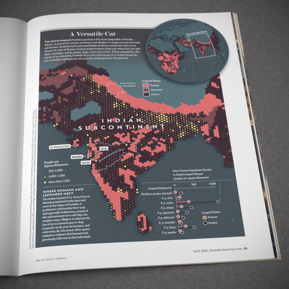 A Versatile Cat — somethingaboutmaps