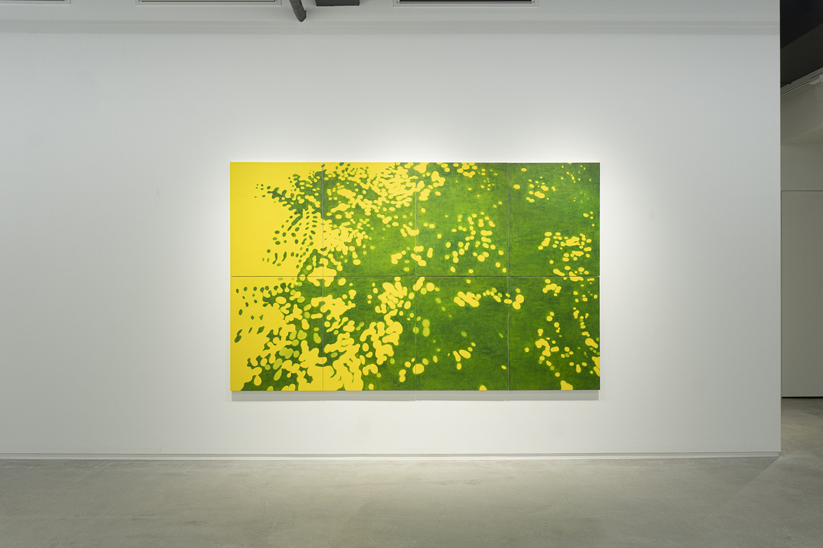 Cheonyi - Duri Baek — CDA, CDAZERO