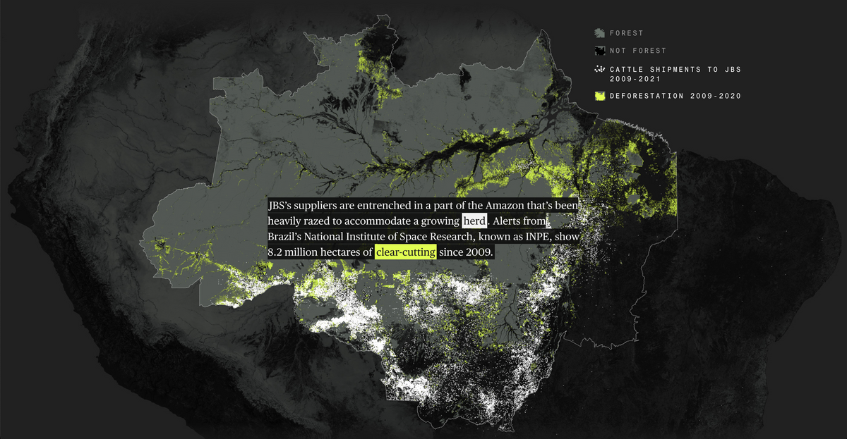 How Big Beef Is Fueling the Amazon’s Destruction — mira rojanasakul