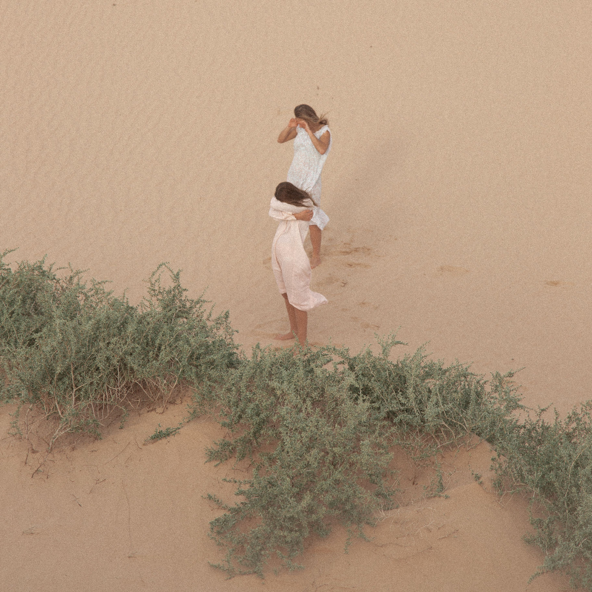 MIDSUMMER SUN — Allan McConnell