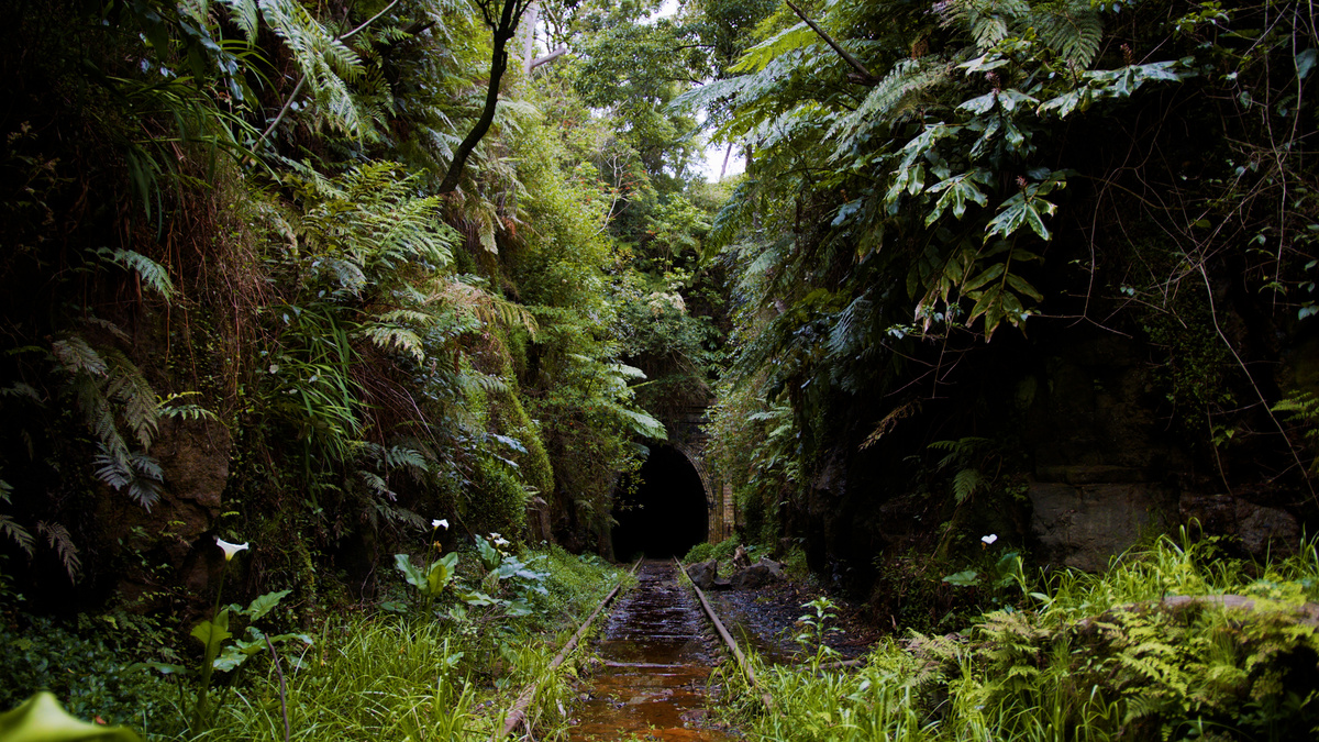 Sibling 'Logo & Brand Identity' — Daughter