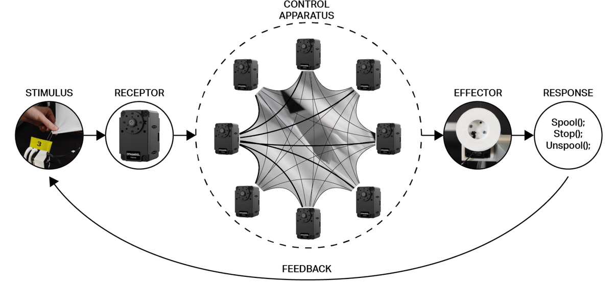 equilibrium morphologies — fabianeidner equilibrium morphologies — fabianeidner