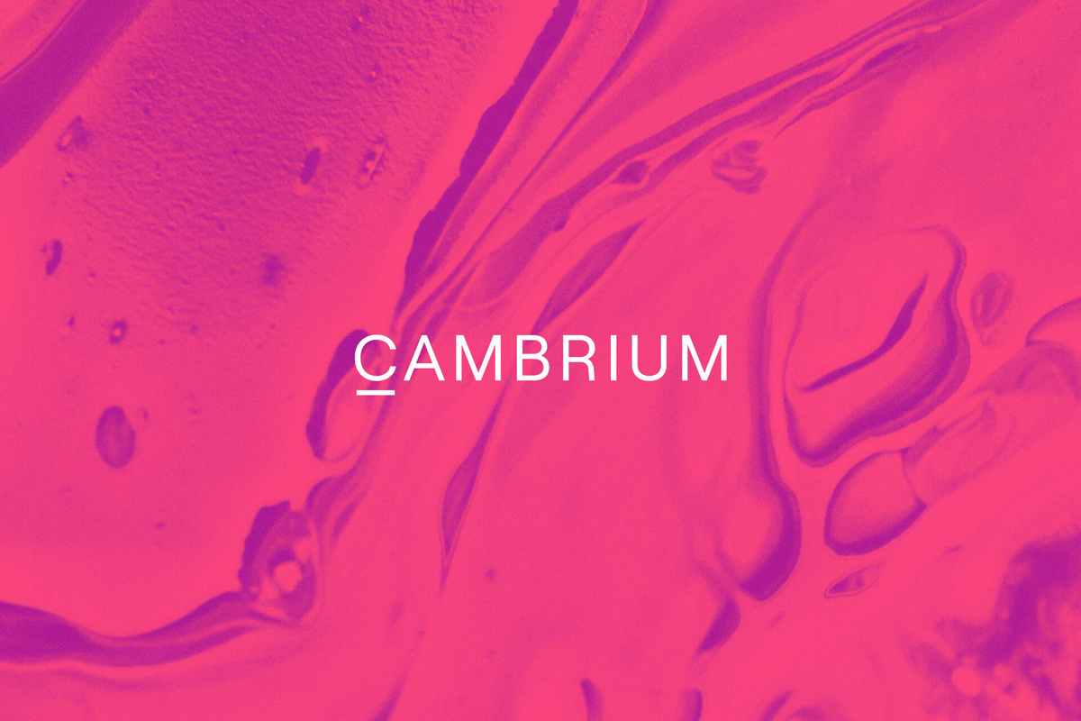 Cambrium — pirsky.com