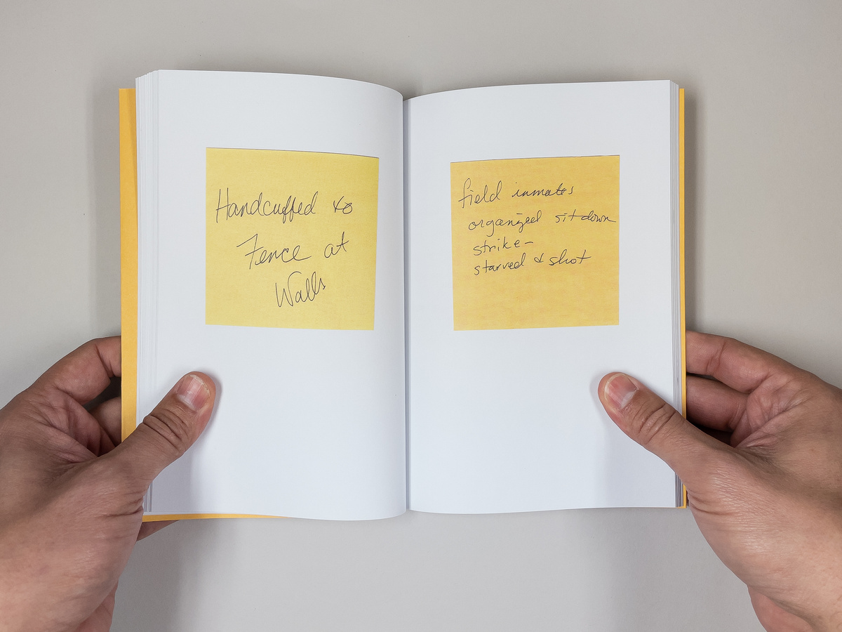 DLP Walls — Molly Sherman (Design)