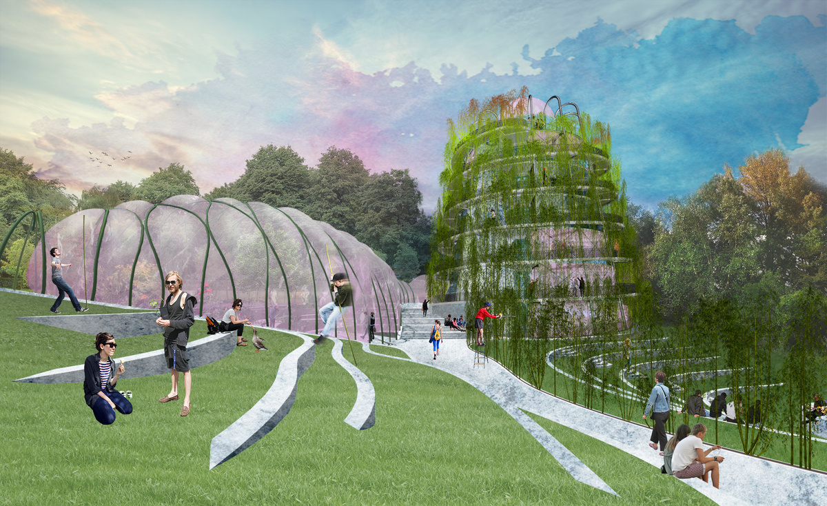 the Seed — Portfolio Website