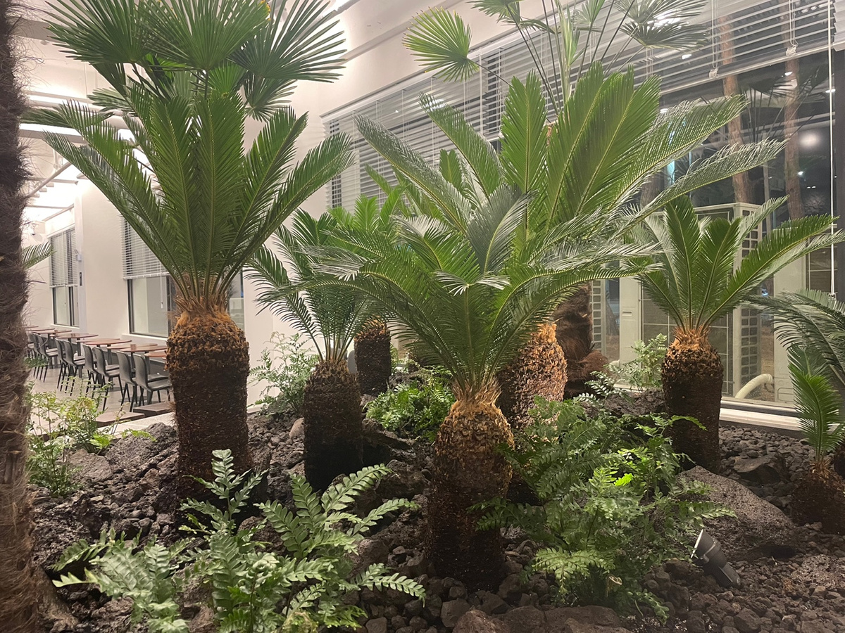 에이바우트커피. 구미옥계점 — botanicalstudiosam