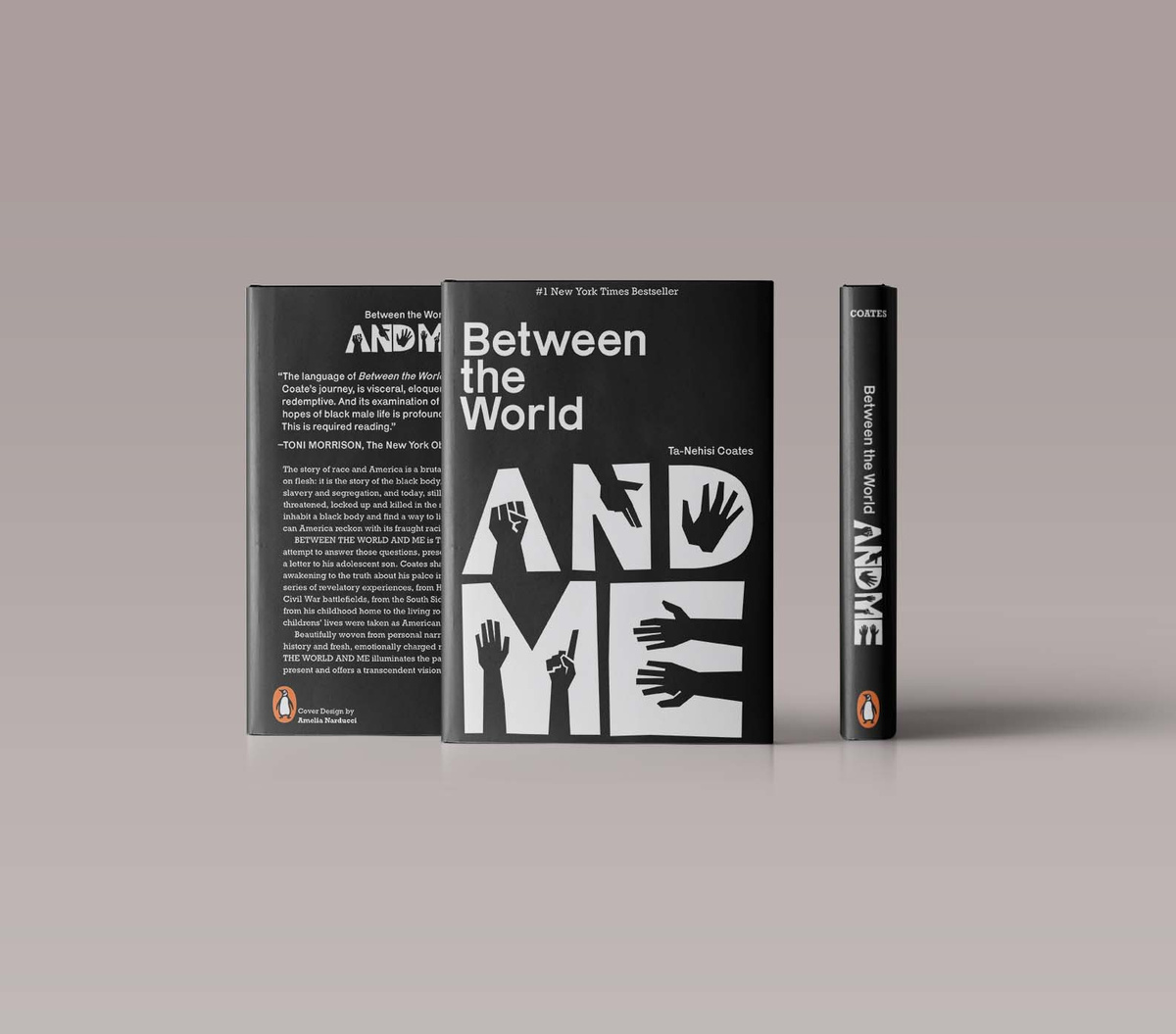 Small Projects — Amelia Narducci