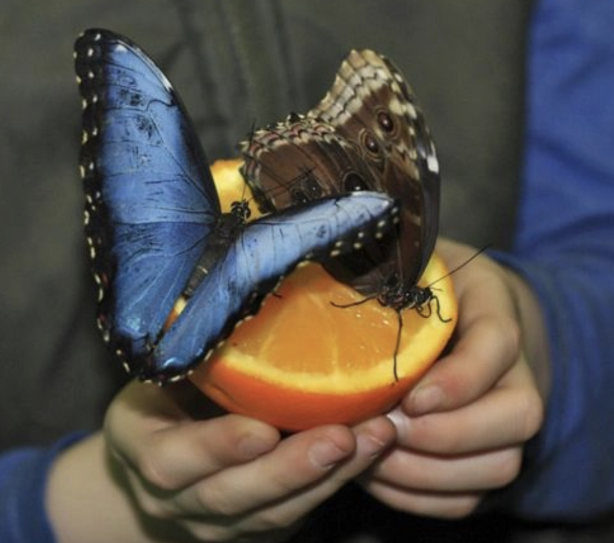 3 Odes - Madison Clapp — Forever Magazine