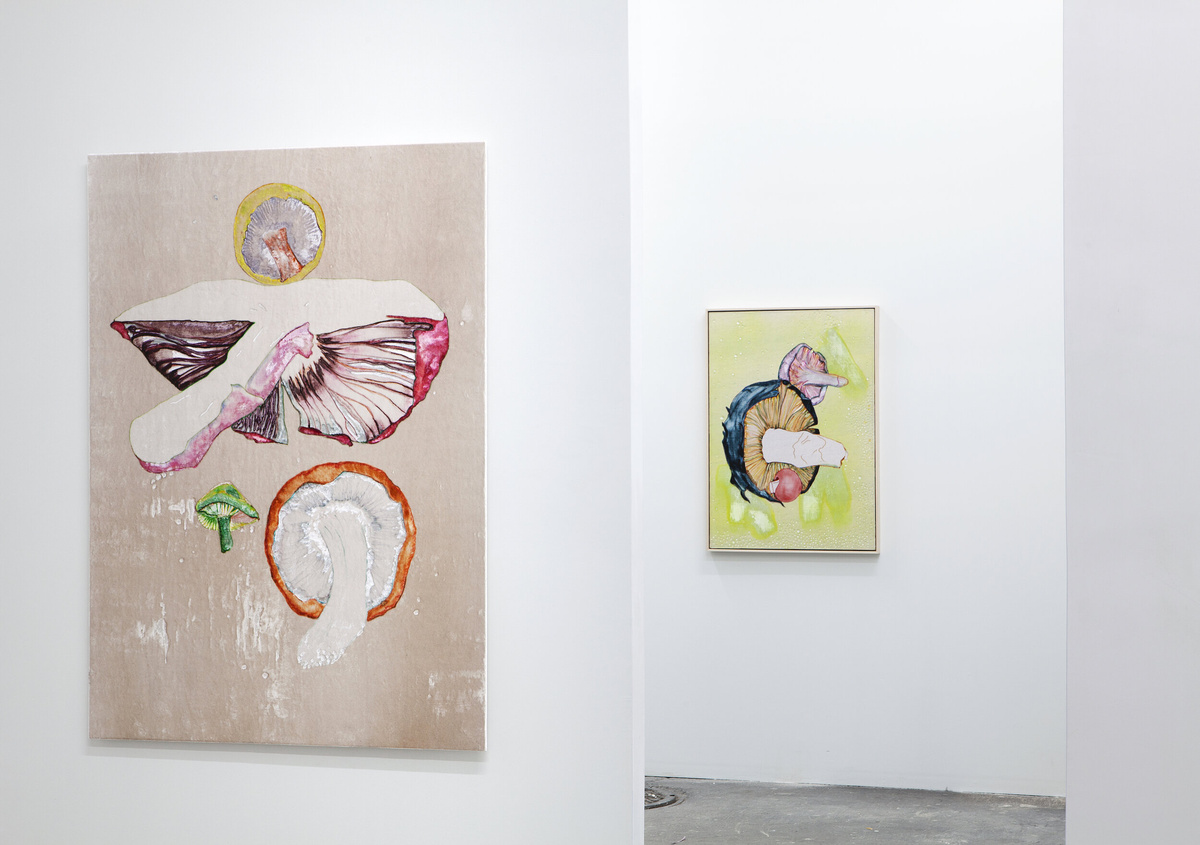 Travis Boyer — NOON Projects