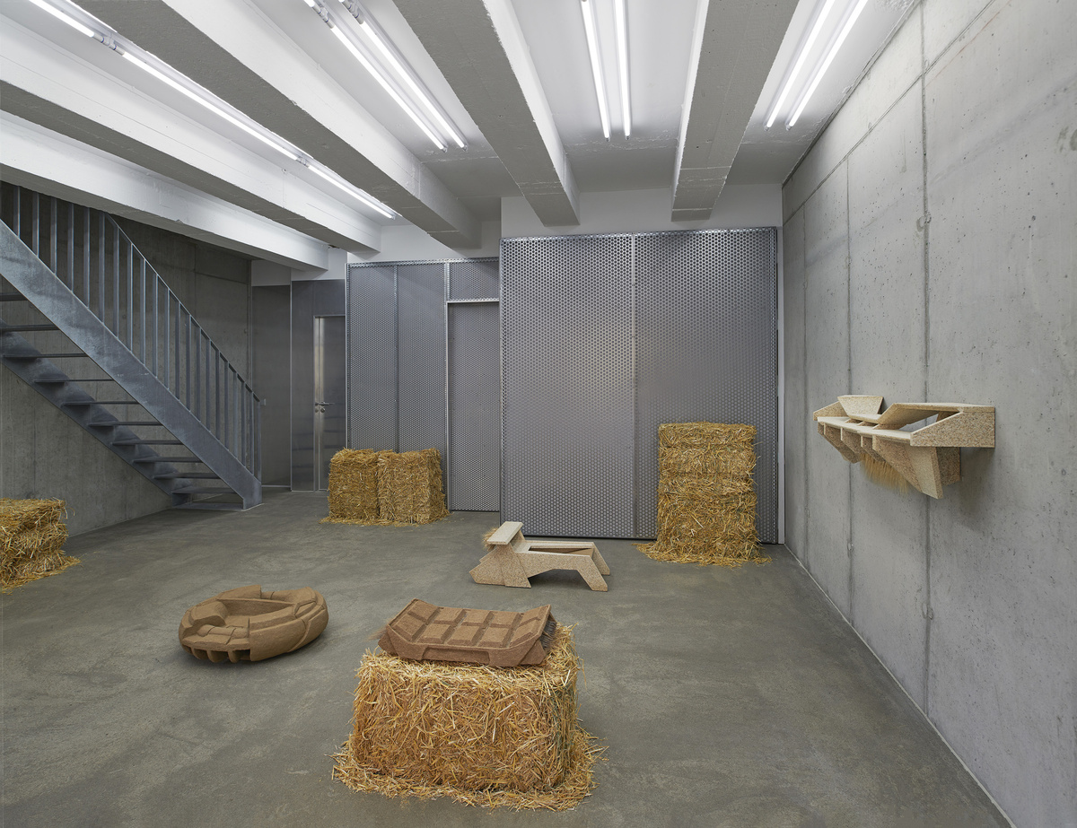 Oase — Johanna Seelemann