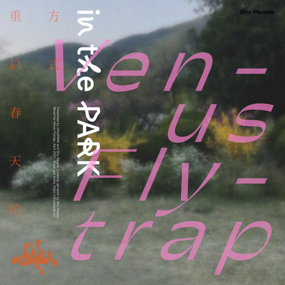 Venus Flytrap Spring Mix — shypeople