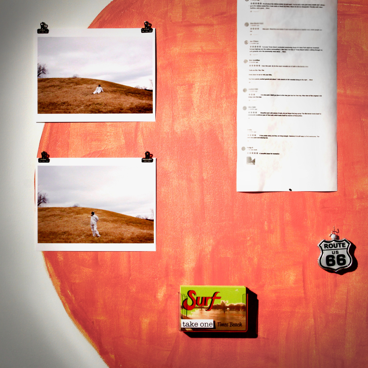 Shelter In Place — Allana Ross