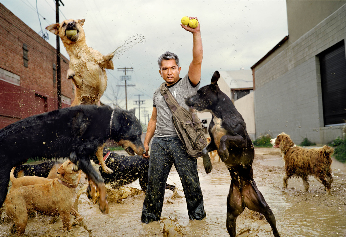 Cesar Millan — Martin Schoeller