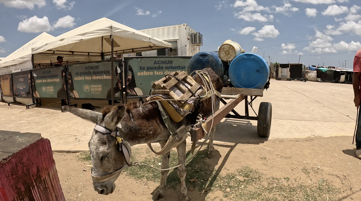 Tackling water and food shortages in Maicao, Colombia — Civic Data Design Lab