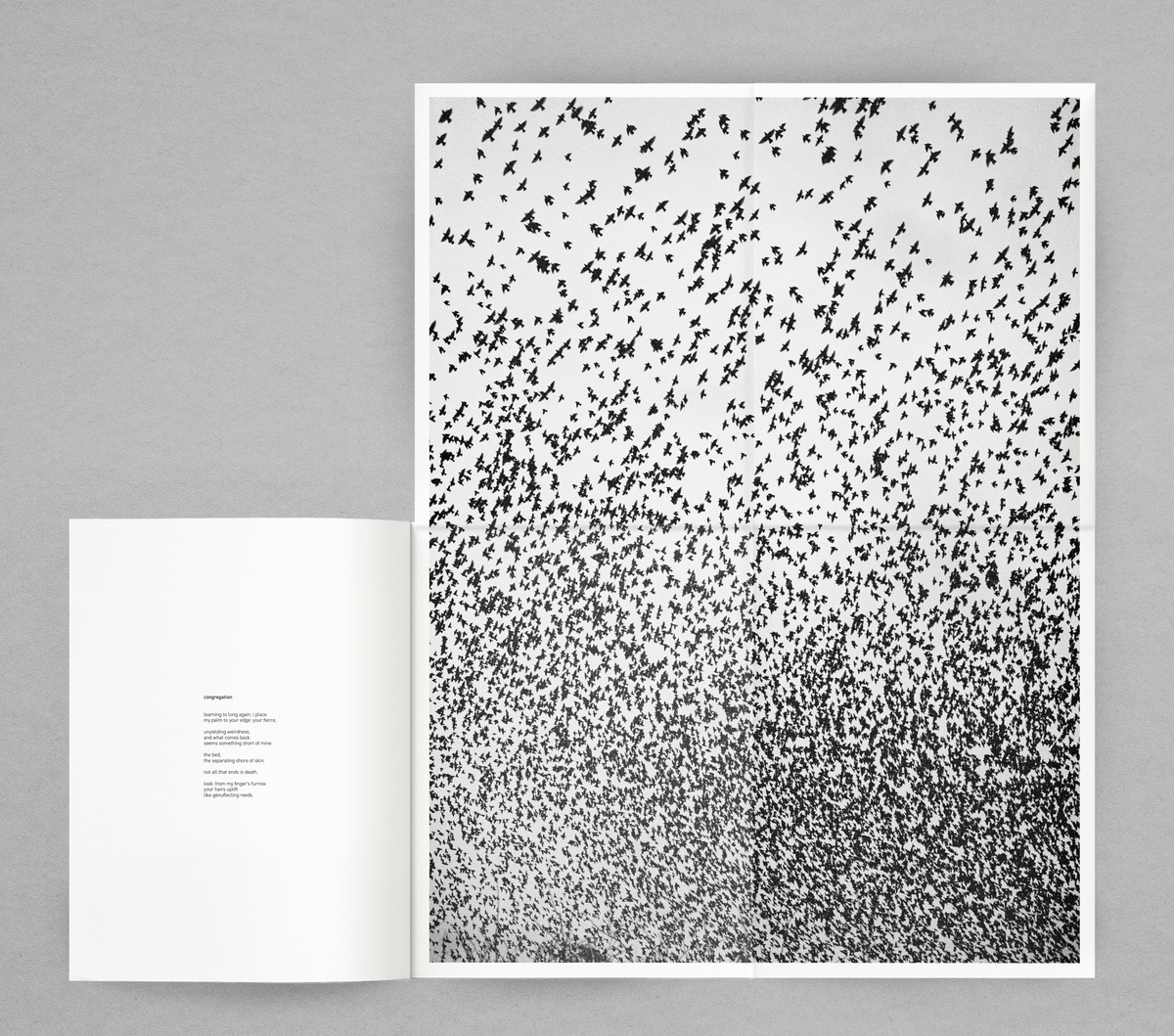 Interview with Chris Hoare — Besides Press