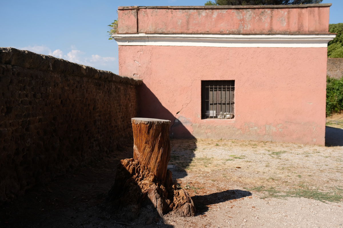 Photos — Matthew Goh