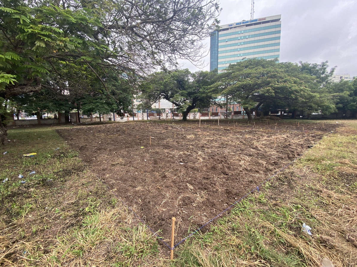 Efua Sutherland Park Project — Willow Technologies