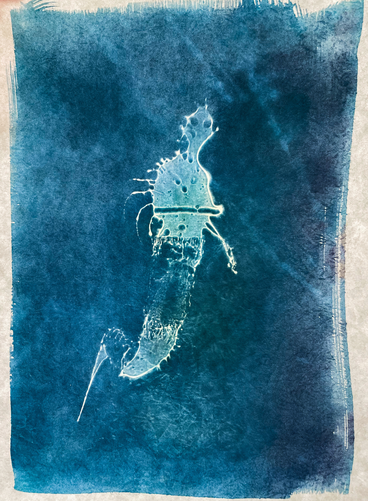 The Museum of Monstrology — Heejoon June Yoon