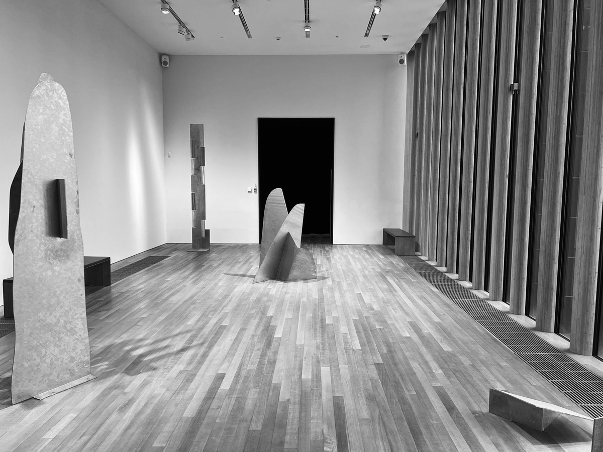 Drawn to Light — vivianwang