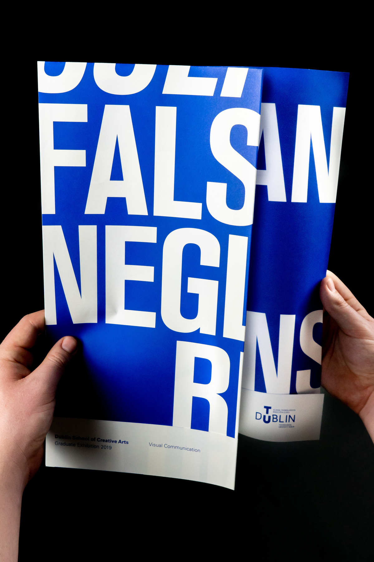 Optic Identity — Tom Campion