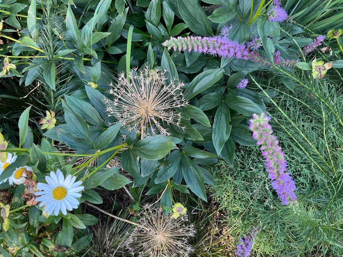 Contact — Ping Design